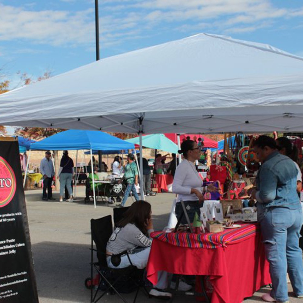 Microenterprise Technical Assistance Program